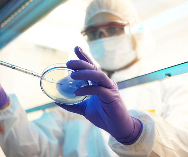 Bromo Cresol Purple Broth Base (Yeast Fermentation Broth Base ...